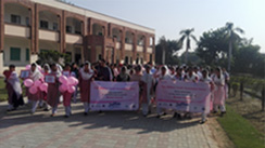 The Govt. Sadiq College Women University, Bahawalpur